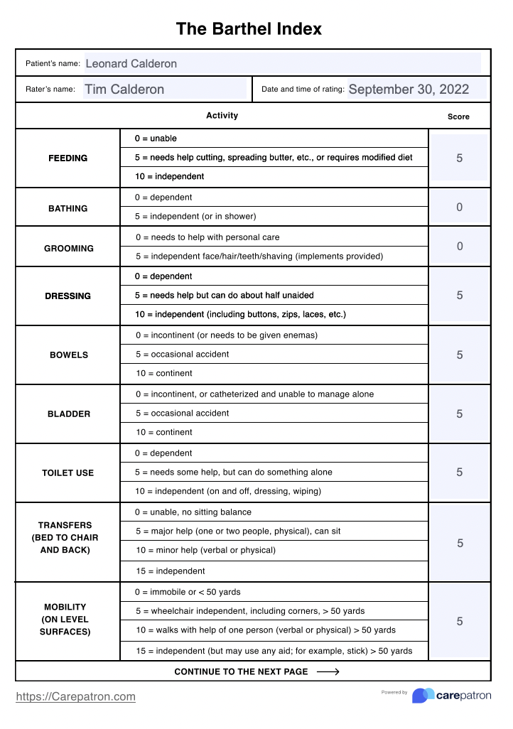 Barthel Index And Example Free Pdf Download